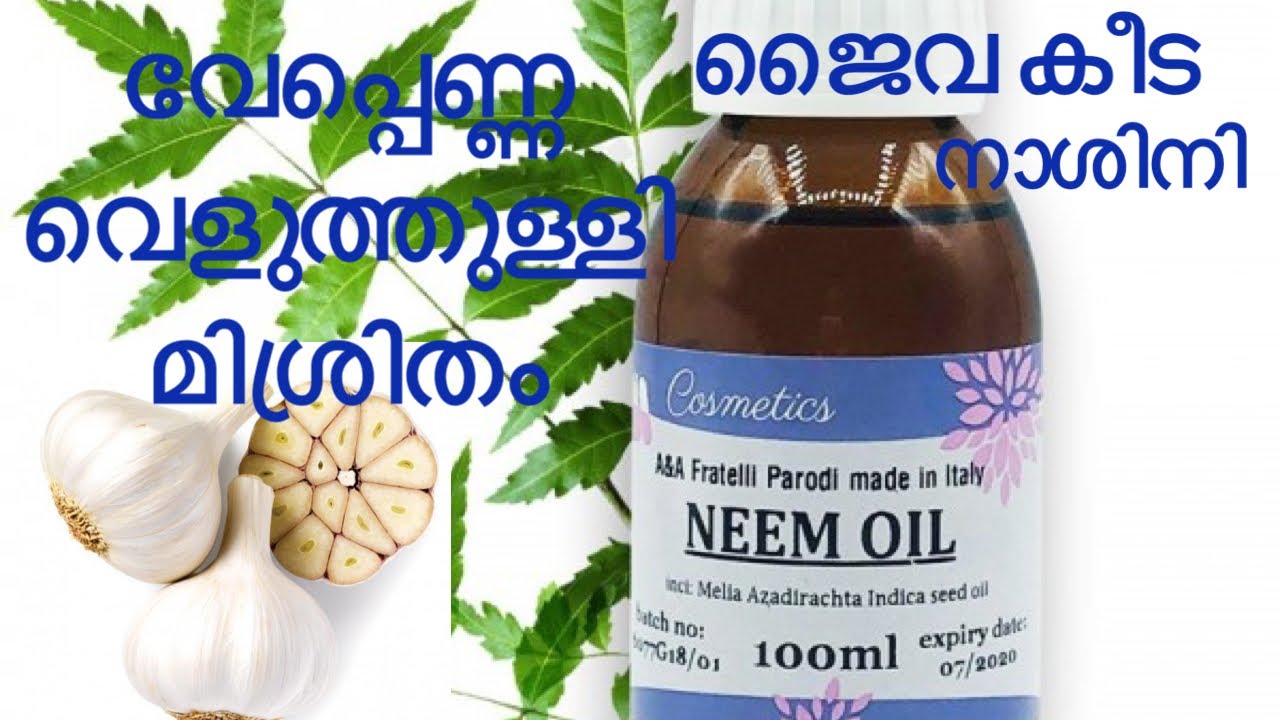 How To Prepare -Veppenna Veluthulli Mishritham/വേപ്പെണ്ണ വെളുത്തുള്ളി ...