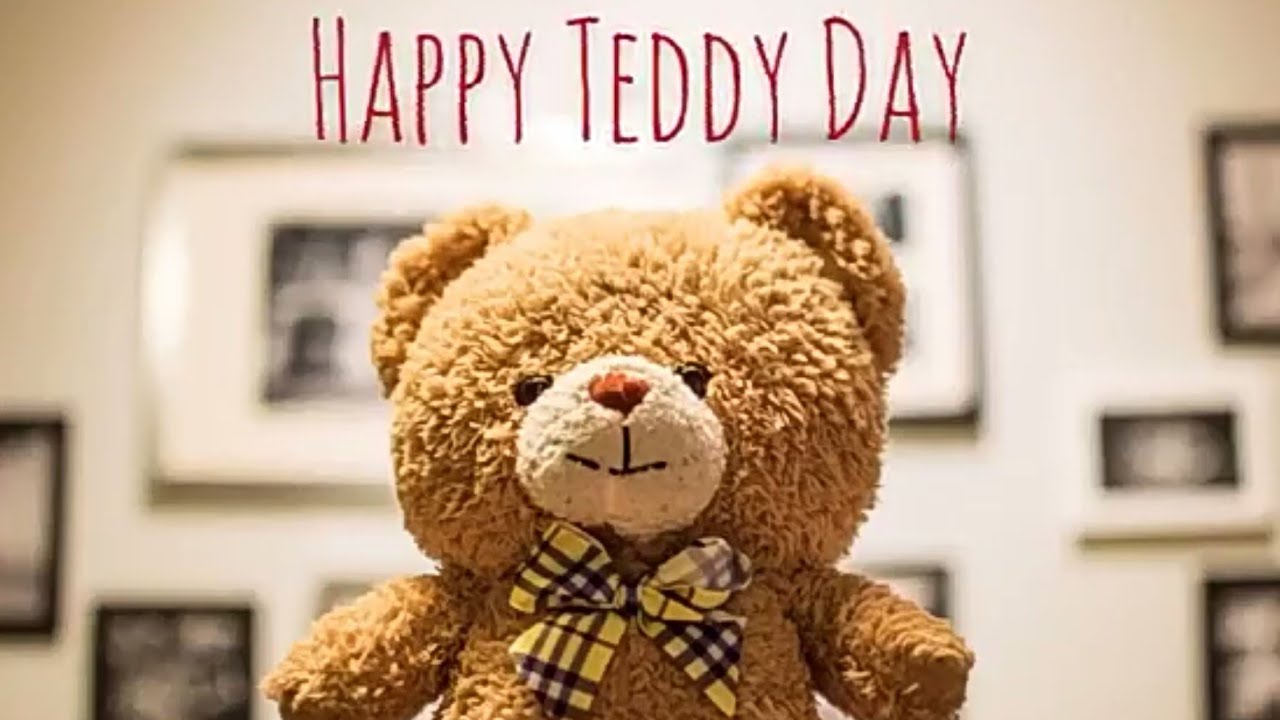 Taddy Day WhatsApp status video | Taddy Status | valentine day.. - YouTube