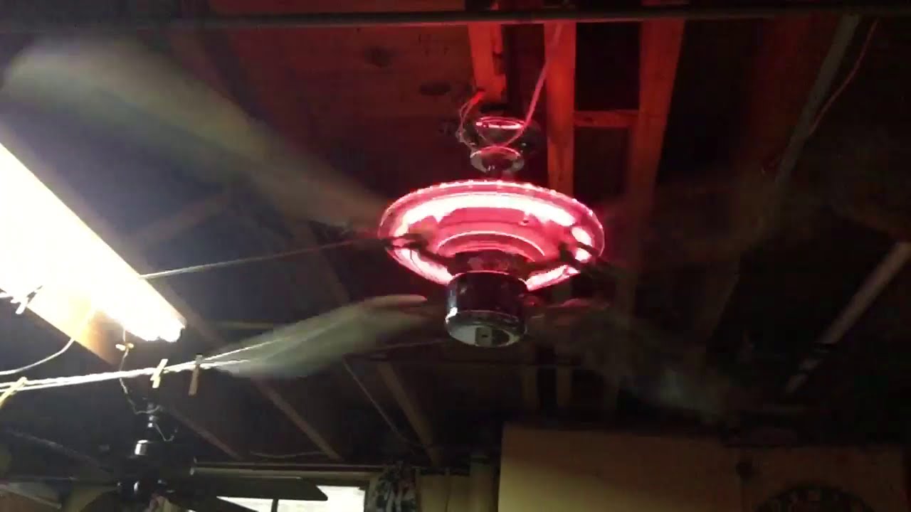 52” King of fans neon illusions ceiling fan with pink neon (2021 remake ...