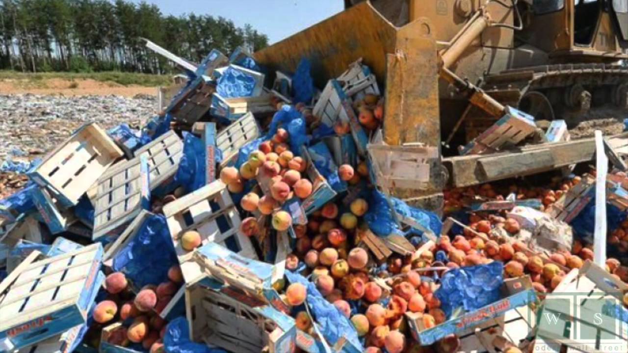 Russia is destroying smuggled/contraband food - YouTube