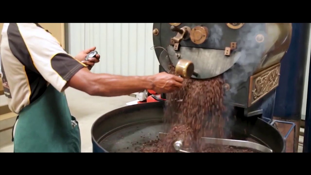 PACER PLUS - BENEFITS - YouTube