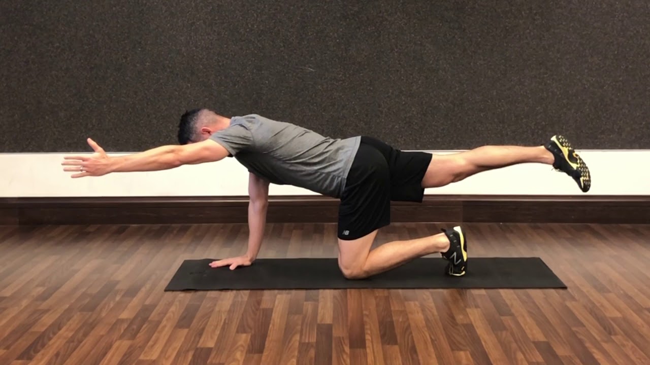 Extended Bird Dog - YouTube