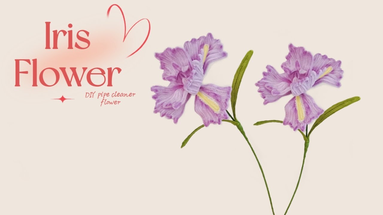 DIY Iris Flower: Create Stunning Blooms with Pipe Cleaners - YouTube