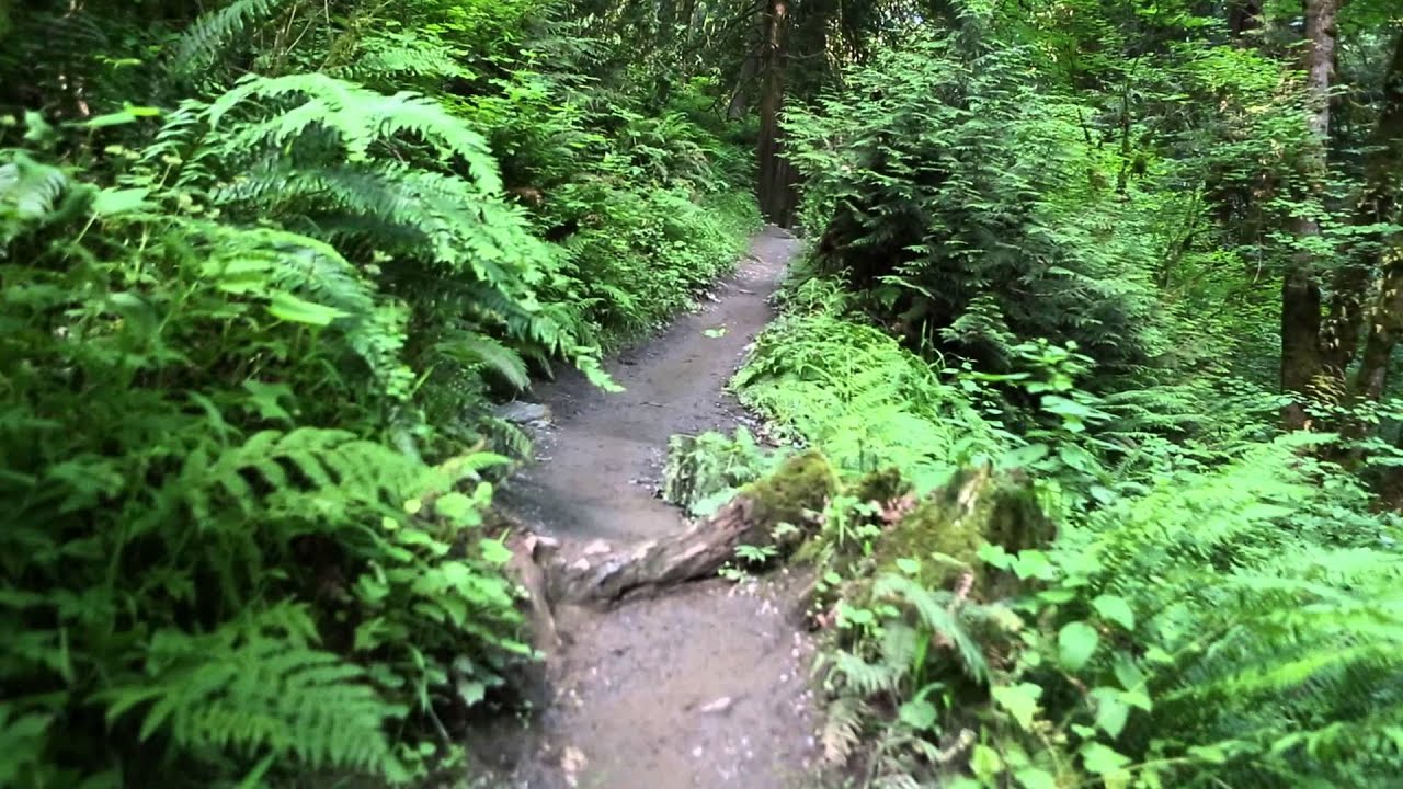 Tryon Creek State Park, Portland Oregon - YouTube