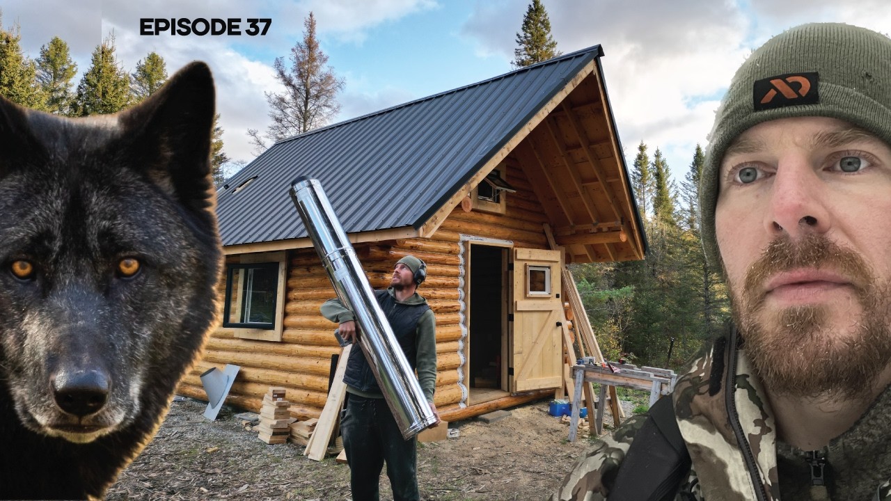 WOLVES, Wood Stove + Floor Install |EP37| Log Cabin Build on Off-Grid ...