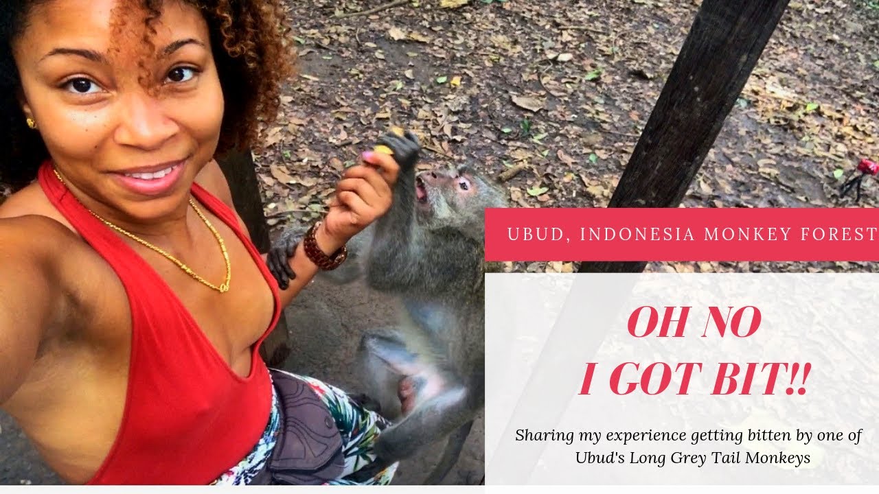 OH I GOT A MONKEY BITE!! - YouTube