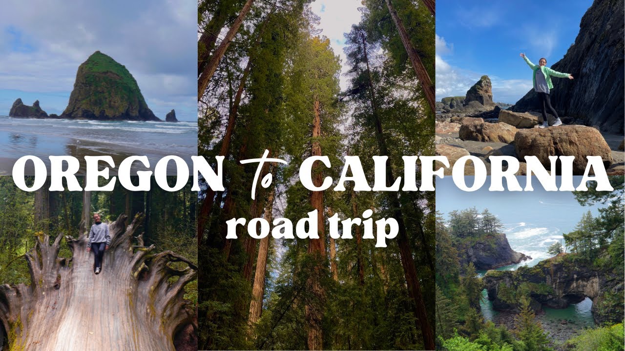 oregon to california road trip! oregon coast, redwood national & state ...
