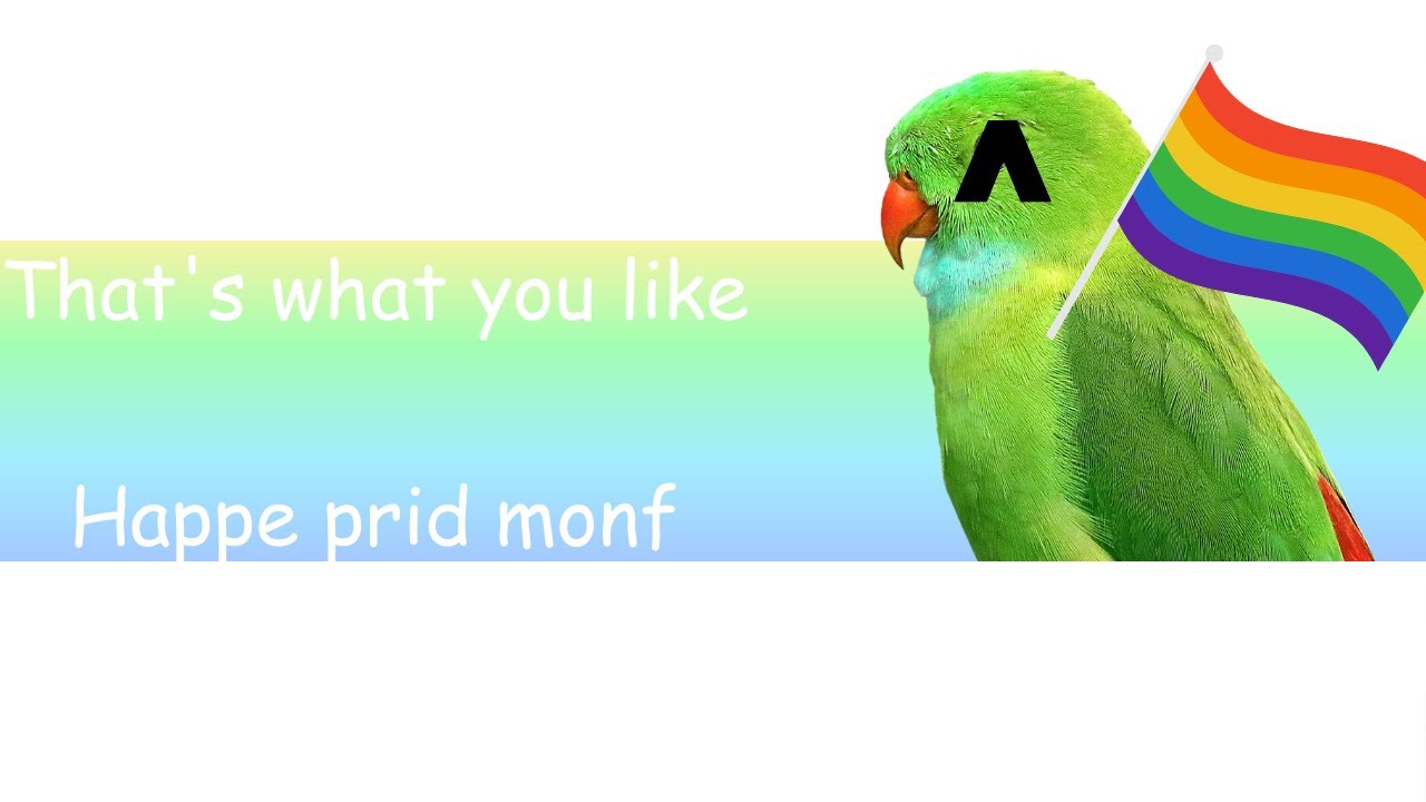 THATS WHAT YOU LIKE|| MEME|| BIRD CLASS STORIES AND MEMES - YouTube