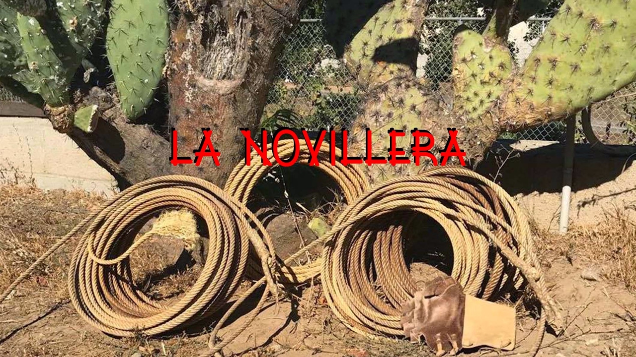 La Novillera Live Stream - YouTube