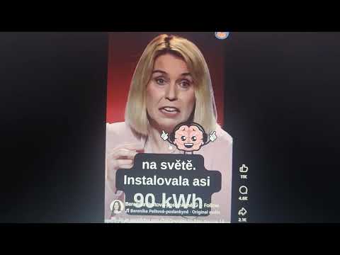 To members of the European parliament: Czech super-expert Danuse NERUDOVA on China's energy output.