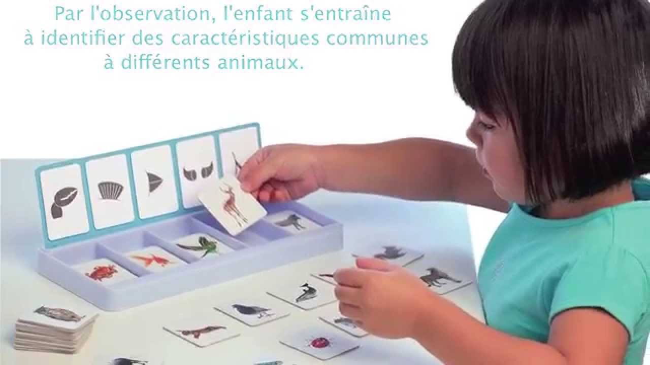 Atelier tris - Les animaux - YouTube