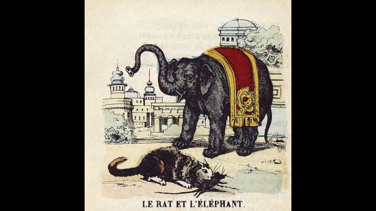 15/02/2020 Lafontaine: Le rat et l’éléphant - YouTube