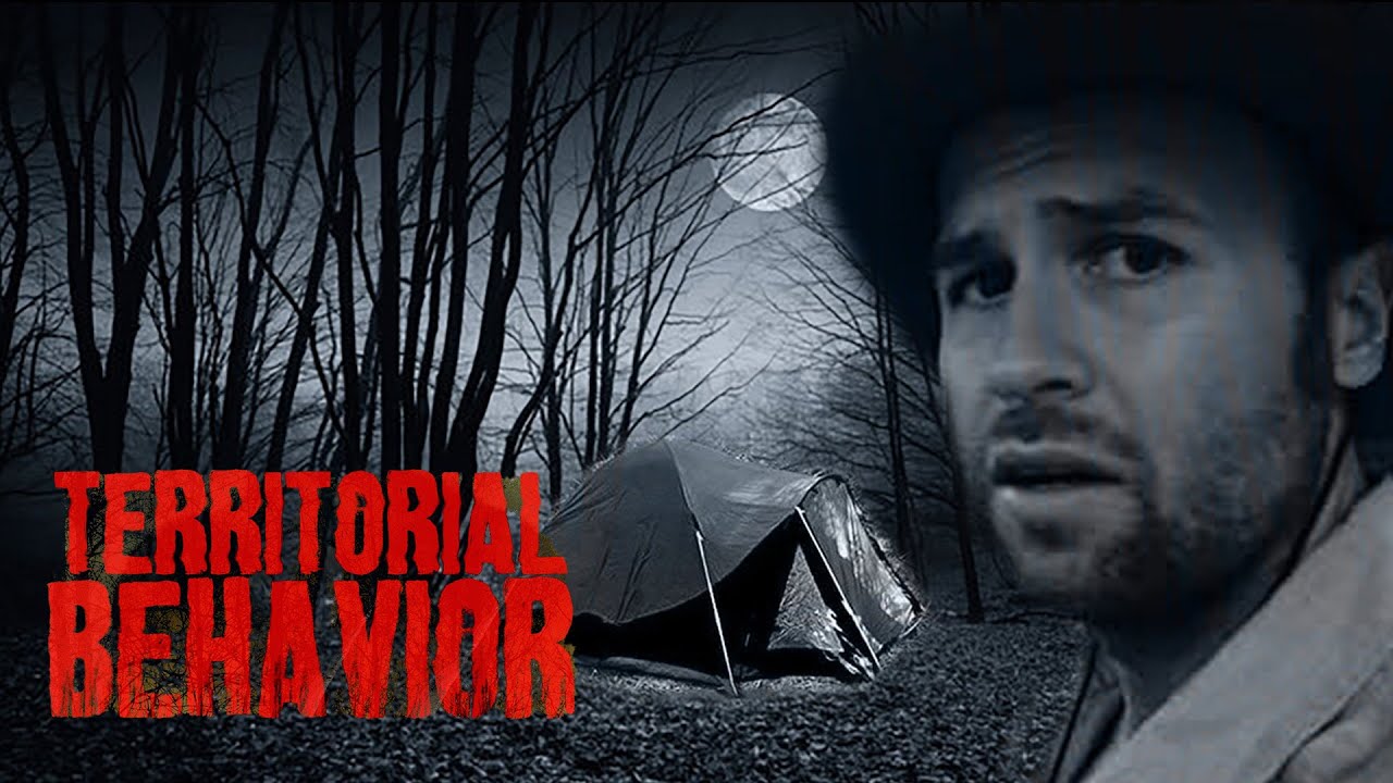 Territorial Behavior - trailer - YouTube