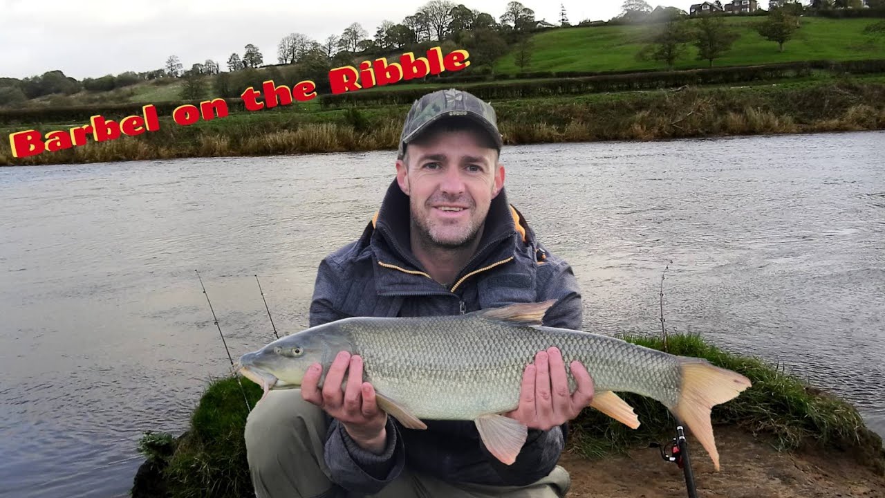 Wayne's Barbel on the River Ribble - Preston - YouTube