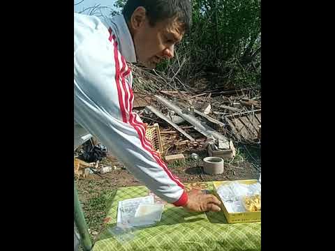 Вывод маток Системой "Джентерский" сот. - YouTube