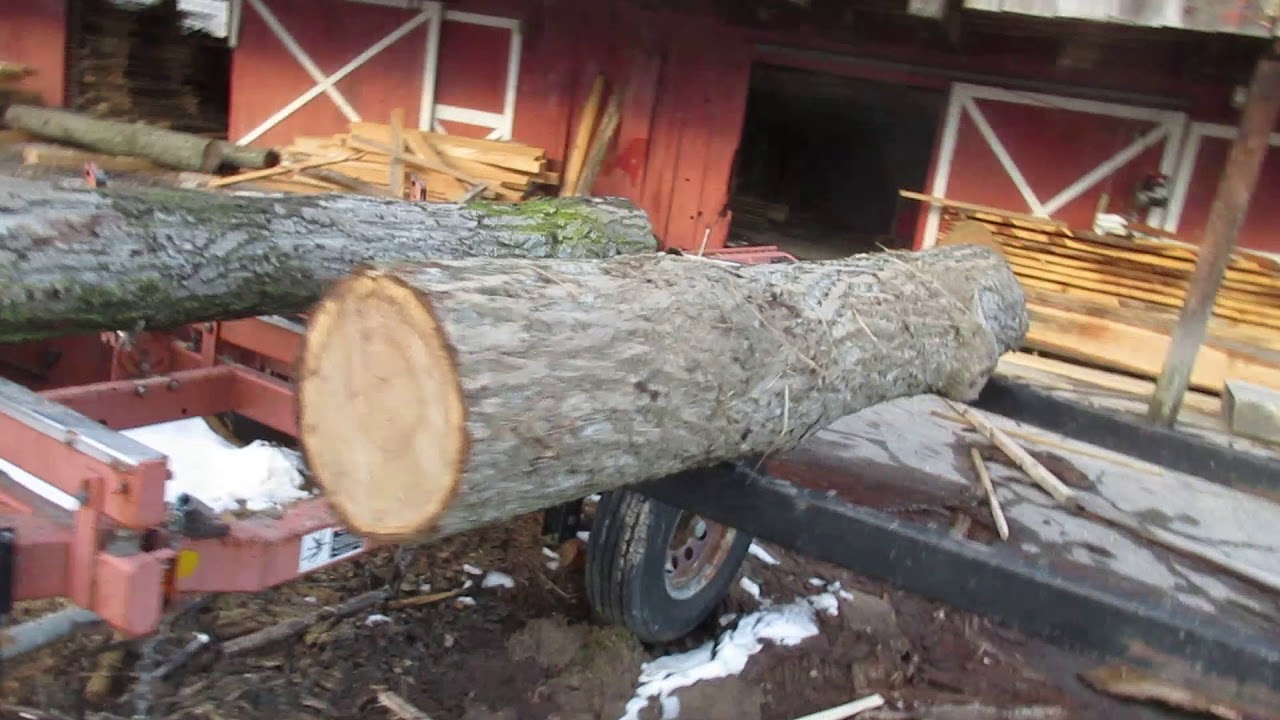 Butternut log on the Woodmizer - YouTube