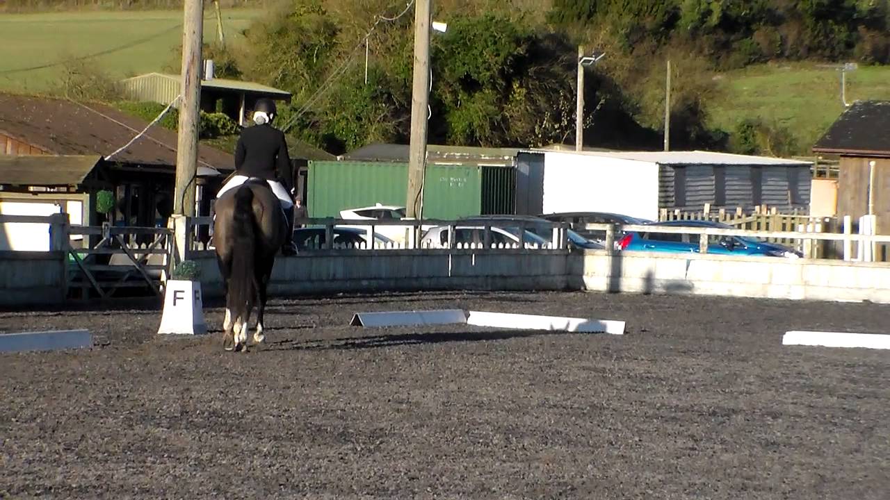 Karla Knapp riding Enzo Novice 34 13/12/14 - YouTube
