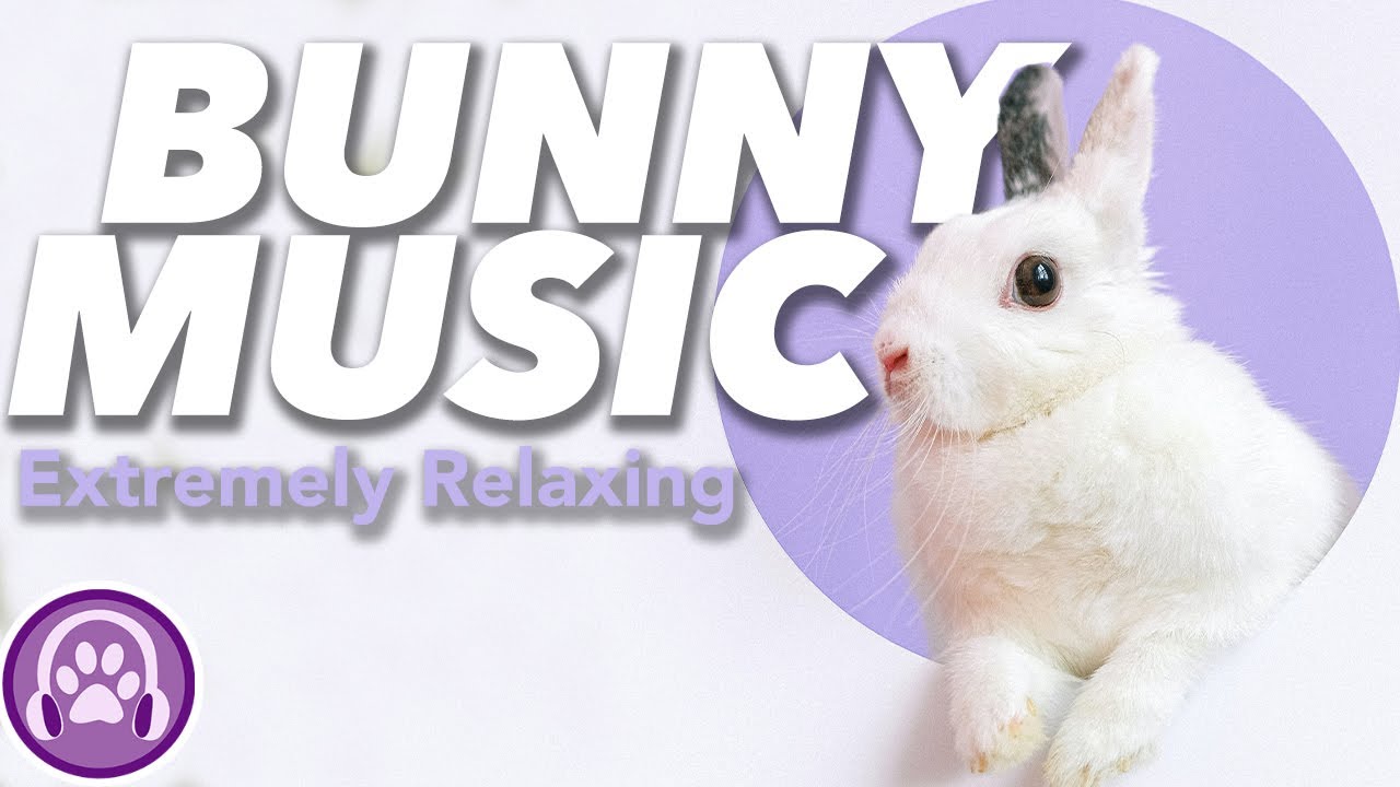 EXTRA SOOTHING Music for Rabbits - Soft Bunny Lullabies - YouTube