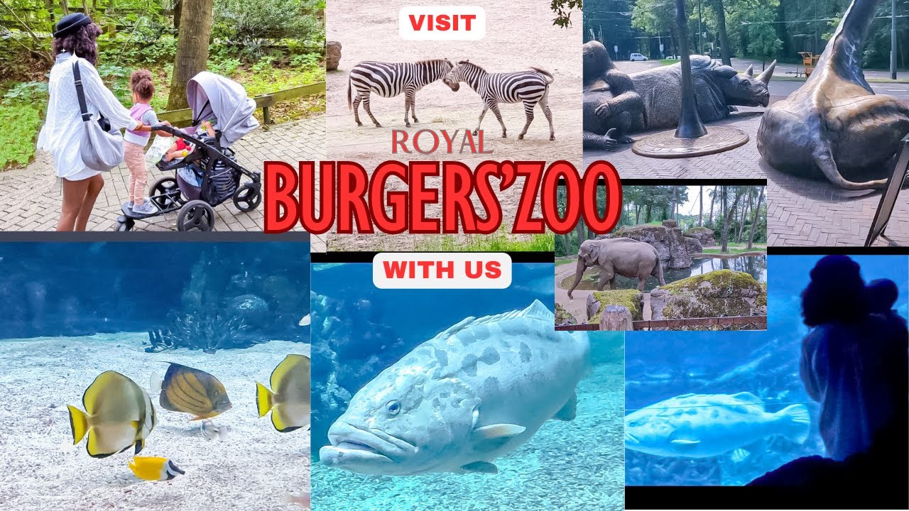 Family day in the zoo | Zoo tour vlog | Zoo trip with toddlers | Baby's ...