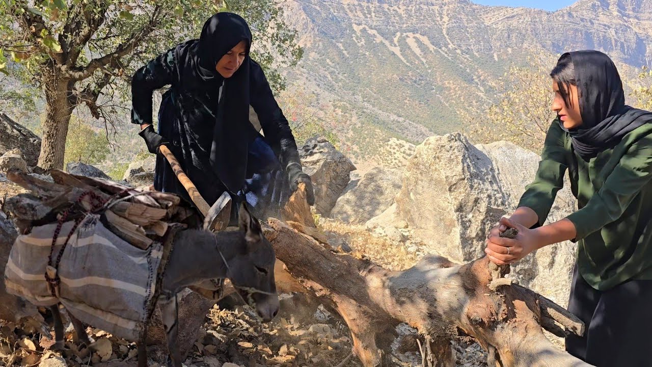 Nomadic life in the mountains of Iran |Iranian nomadic women and the ...
