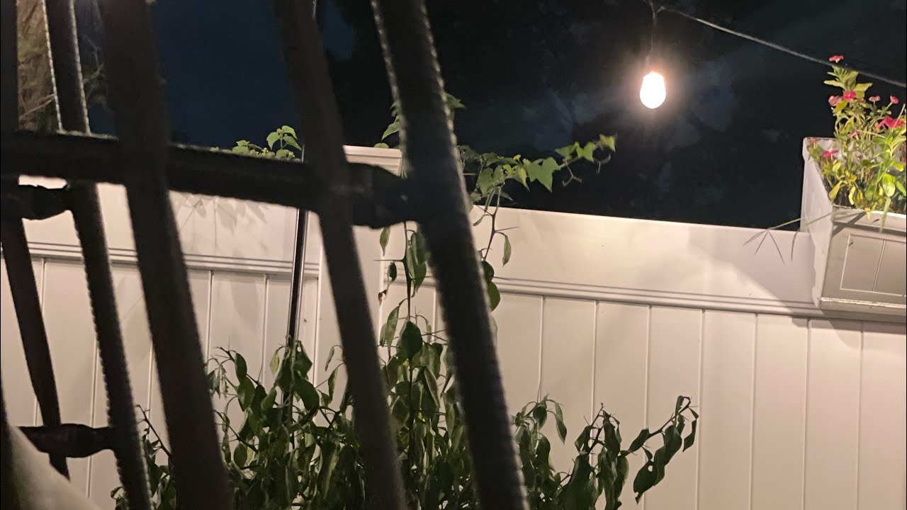 Dania V. está en vivo nececito de su ayuda - YouTube