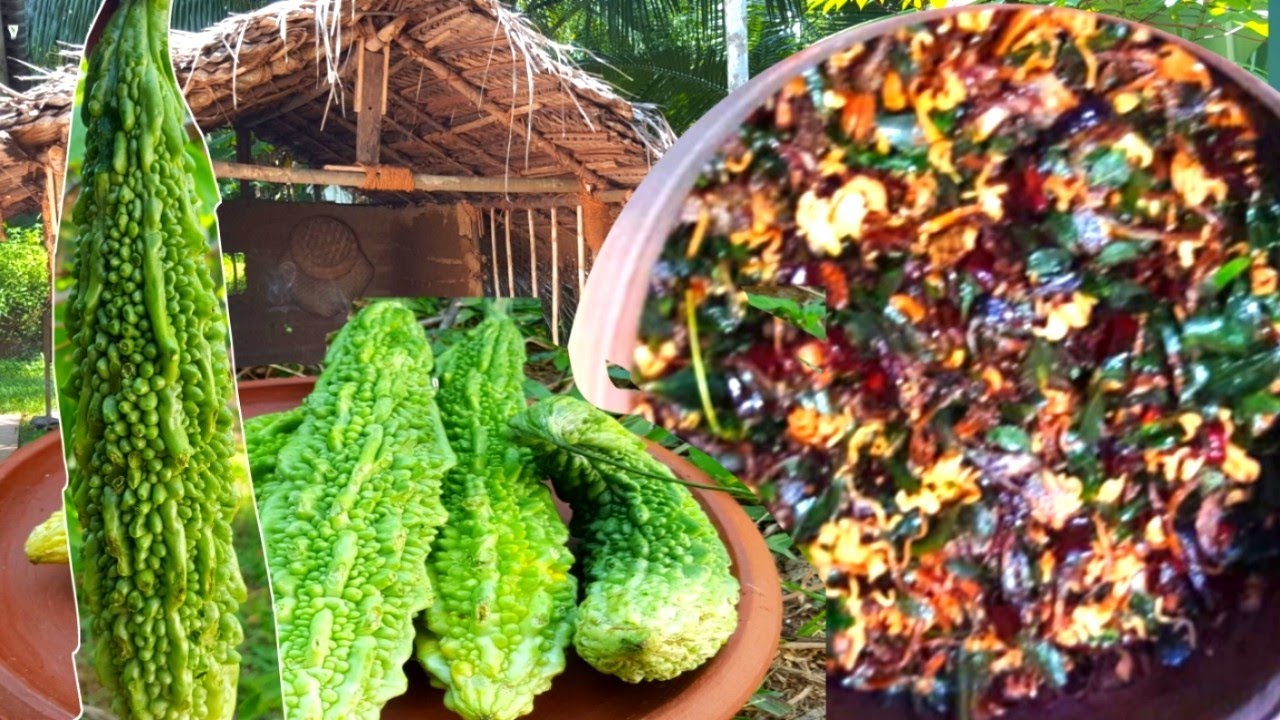 Bitter guard mixture | prepared by ancient village food - YouTube