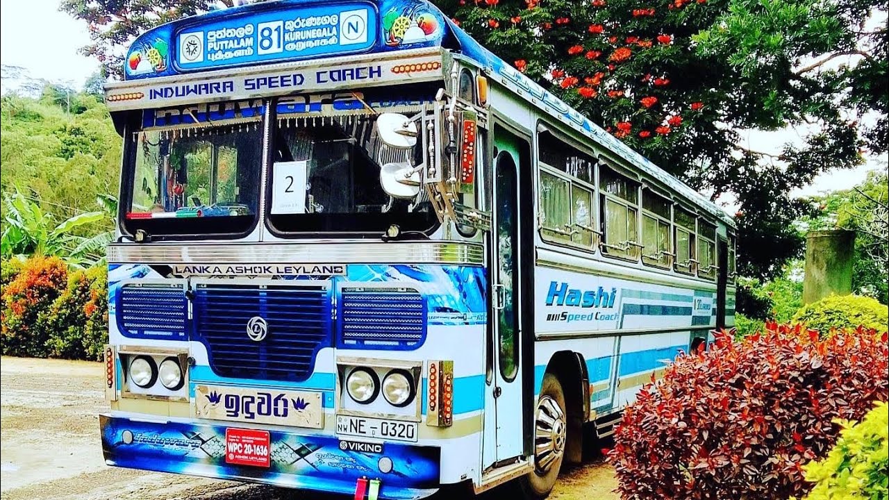 #bus සෙන්සරේ 💙🌸 #Induwara_Speed_Coach #puttalam_81_Kurunegala #travel # ...