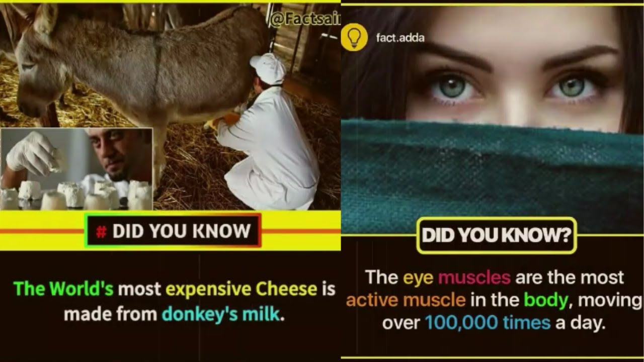 Memes Full Of Facts | Knowledge Memes | Psychology Facts Memes | Have ...