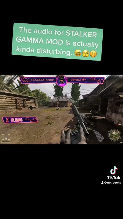 S.T.A.L.K.E.R.; GAMMA MOD audio is actually kinda disturbing.. 😅😭😭 - YouTube