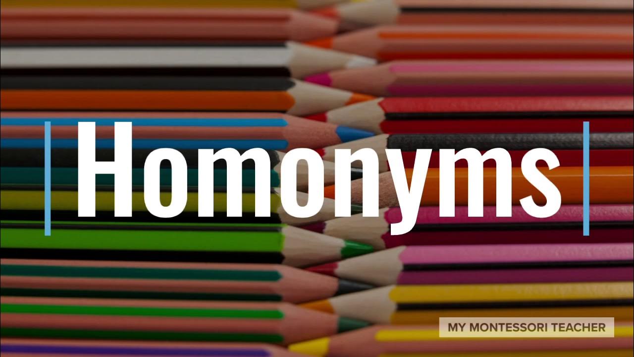Introduction to Homonyms - Montessori Lower Elementary Language - YouTube