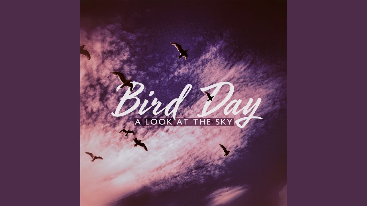 The Highest I Can Fly - YouTube
