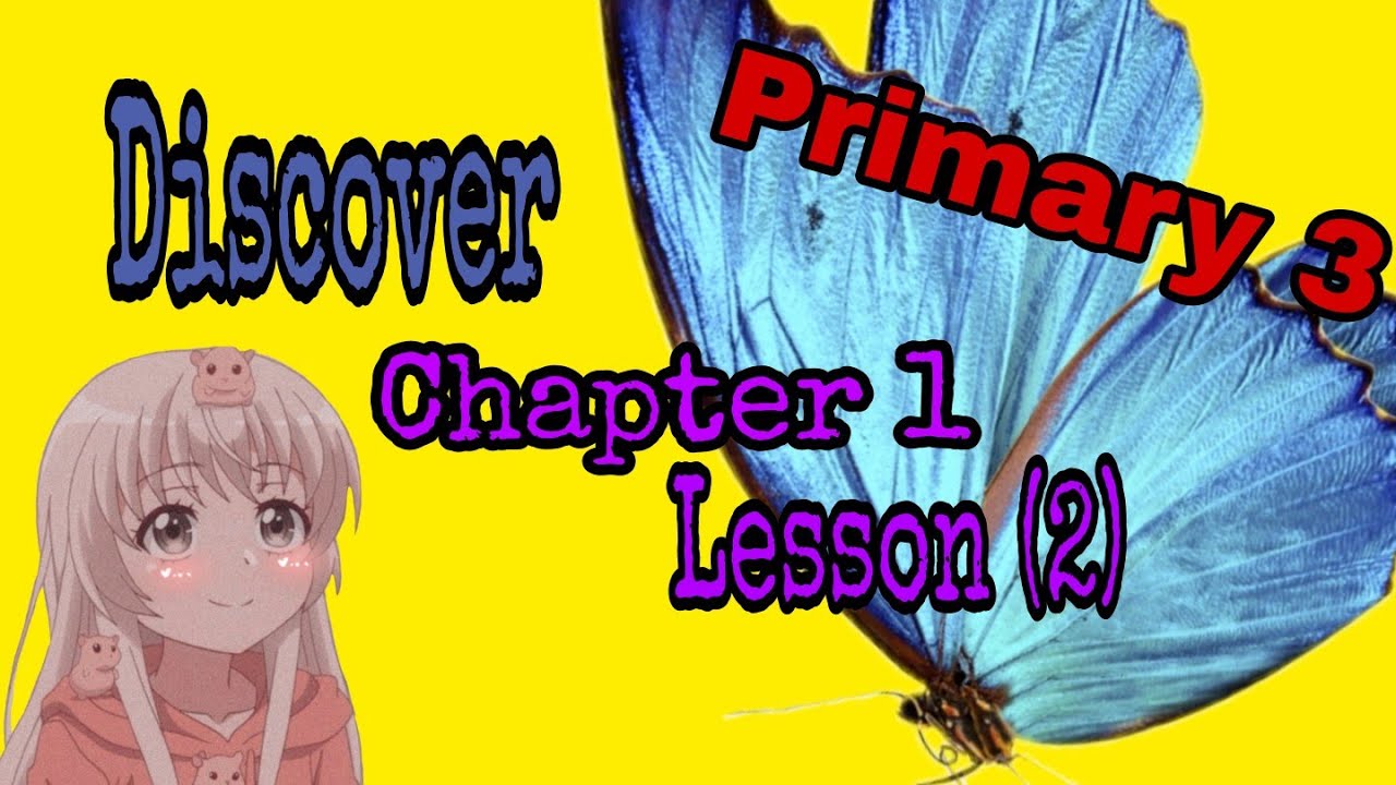 Primary 3 | Discover book - YouTube