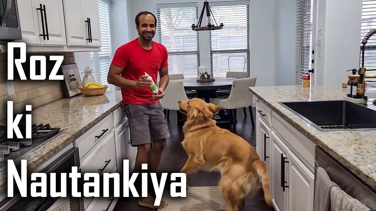 Life with 2 Dogs ️ - YouTube