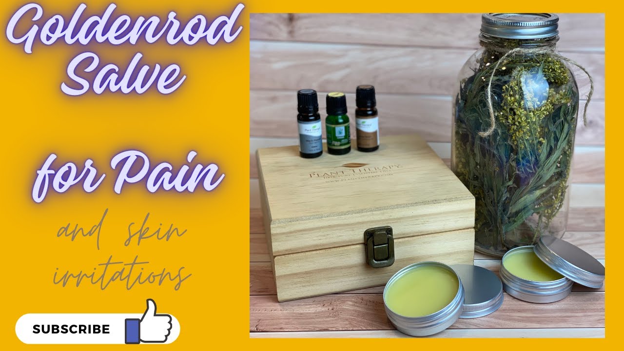 Goldenrod Salve for Pain and Skin Irritations - YouTube