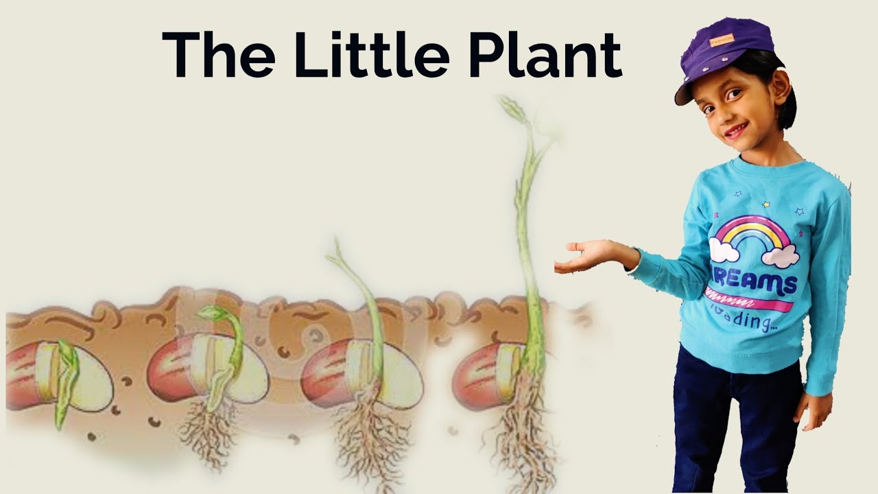 The Little Plant Poem | Rhymes for kids - YouTube