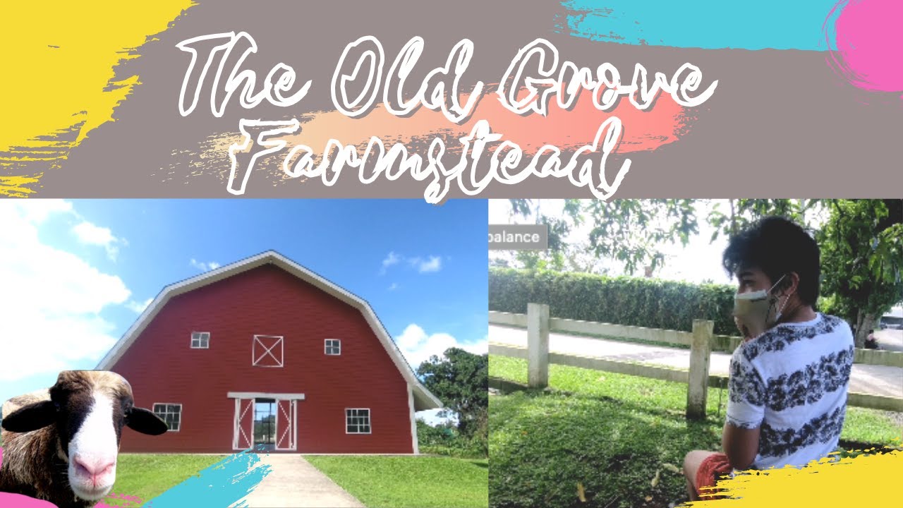 HELLO! NETHERLANDS! - YouTube