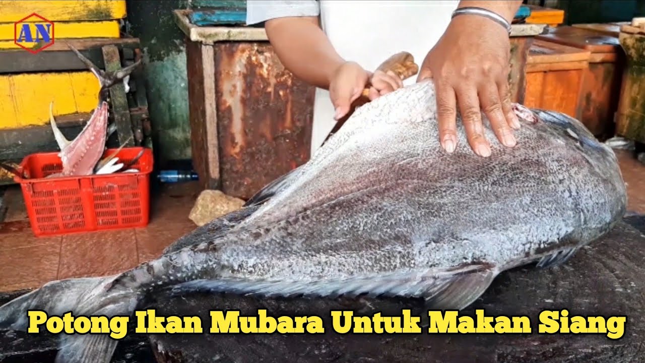 Potong Ikan Mubara Untuk Makan Siang - YouTube