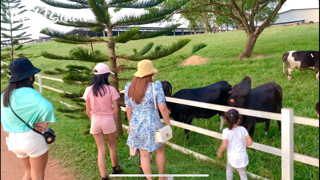 Farm Fresh UPM - Experience The Farm Life - Day Tour - YouTube