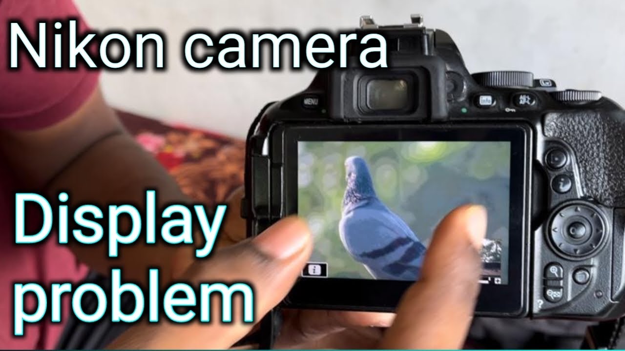 Nikon dslr display problam | camere ka display cartoon jaise dekhna ...