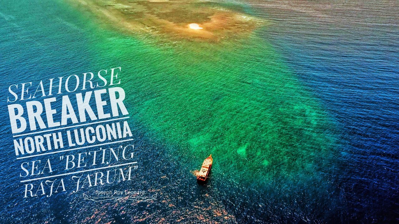 LUCONIA SEA / SEAHORSE BREAKER NORTH LUCONIA "BETING RAJA JARUM" - YouTube