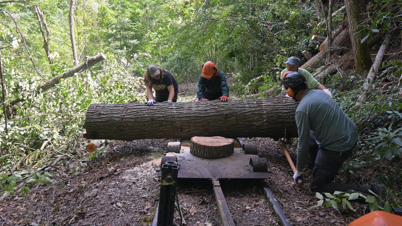 Logging Time-lapse In The Doe River Gorge - YouTube