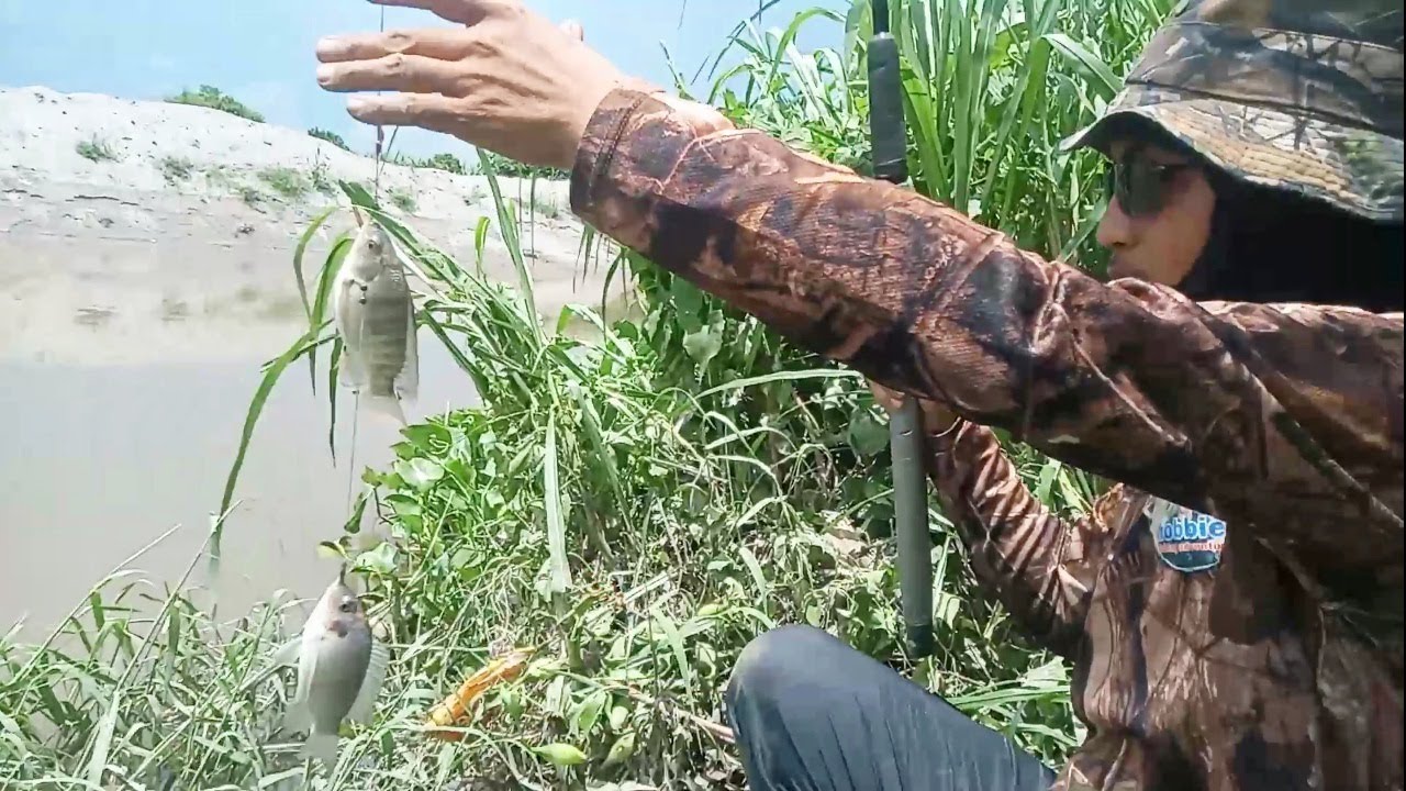 Paano mamingwit ng isda ng walang floater ||Hook Fishing// buhay ...