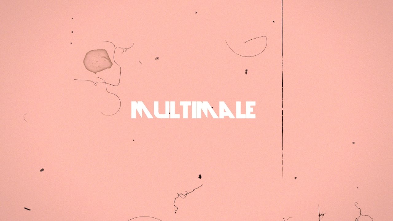 multimale collab - YouTube