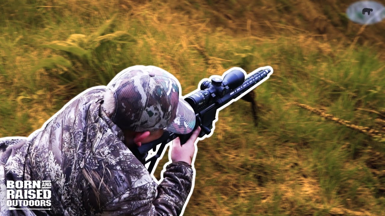 3 SPRING BEARS on the Coast of Oregon - YouTube