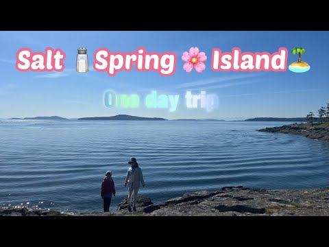 Salt Spring Island | Victoria 출발 1일여행 브이로그 Canada,Victoria,Vancouver ...