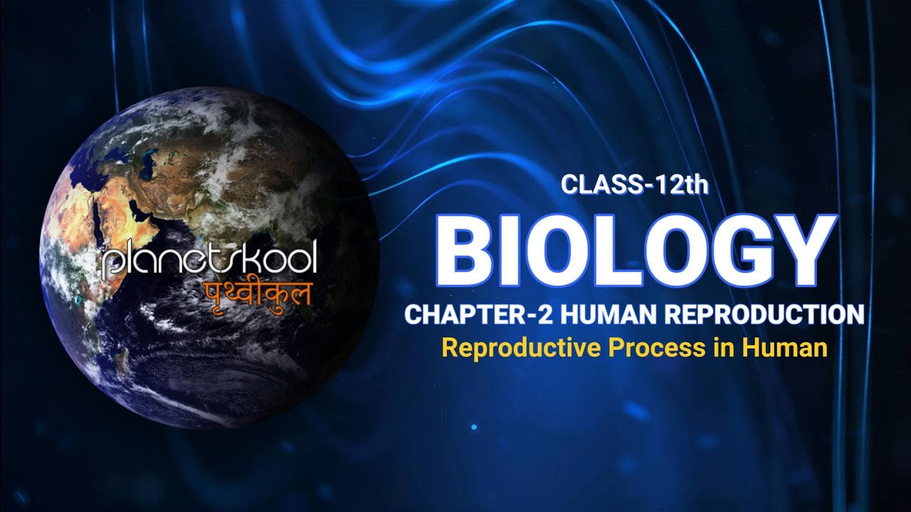 NCERT | Class-12th | Biology | Chapter-2 | Human Reproduction | Topic ...