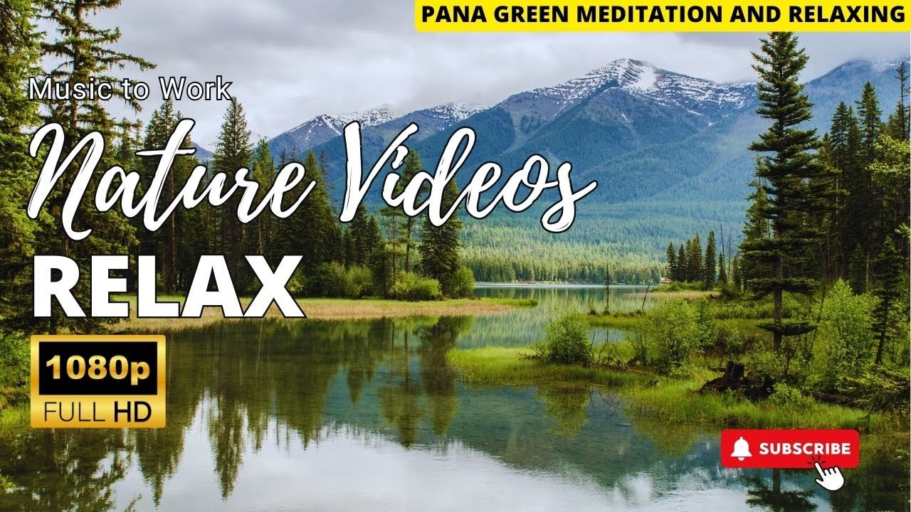 Nature and Bird Sound - The Healing Power Of Nature Sounds | Study ...