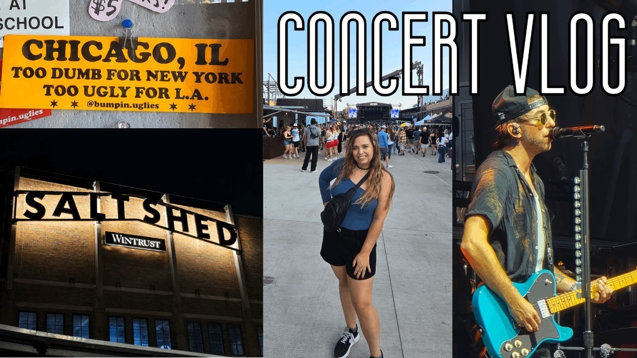 CHICAGO VLOG: all time low concert and wicker park fest! - YouTube