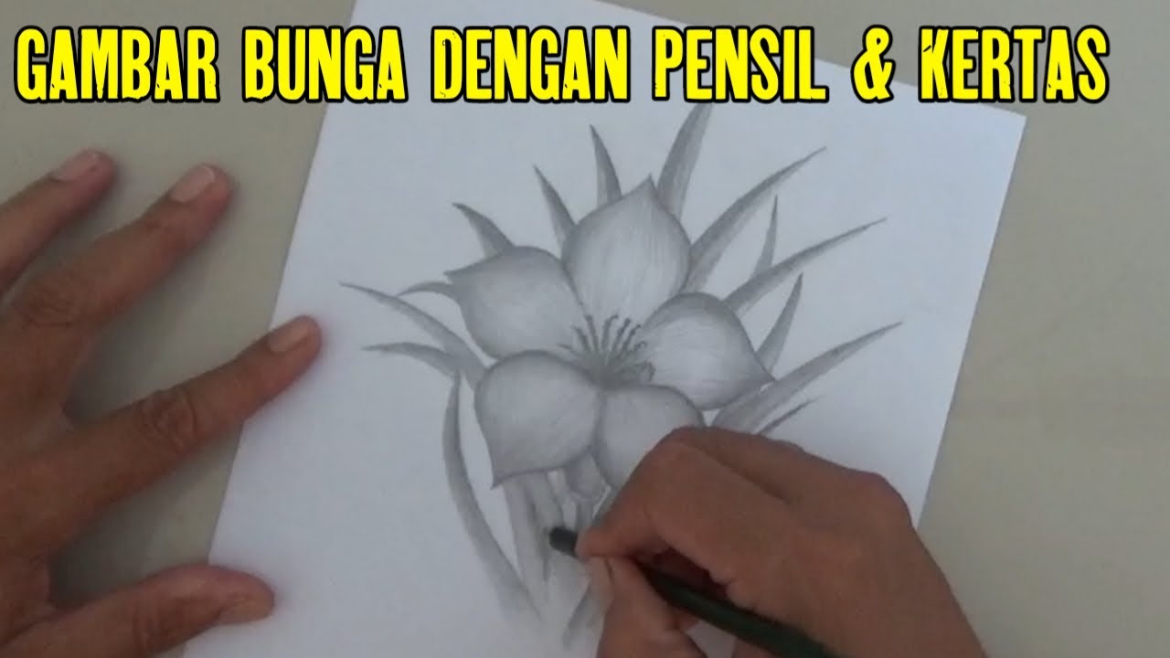 cara menggambar bunga dengan pensil dan kertas | drawing flowers with ...