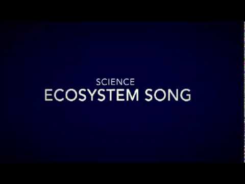 AM & OU Environment Ecosystem Song - YouTube
